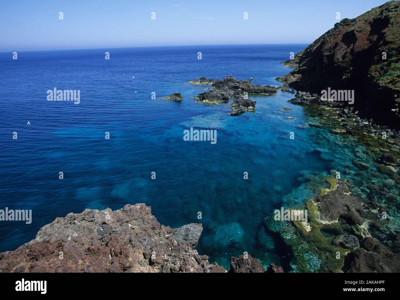 Sidoti hi-res stock photography and images - Alamy