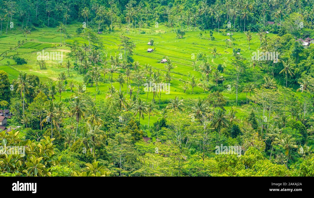Rice tarraces and some huts between, Sidemen, Bali, Indonesia Stock ...