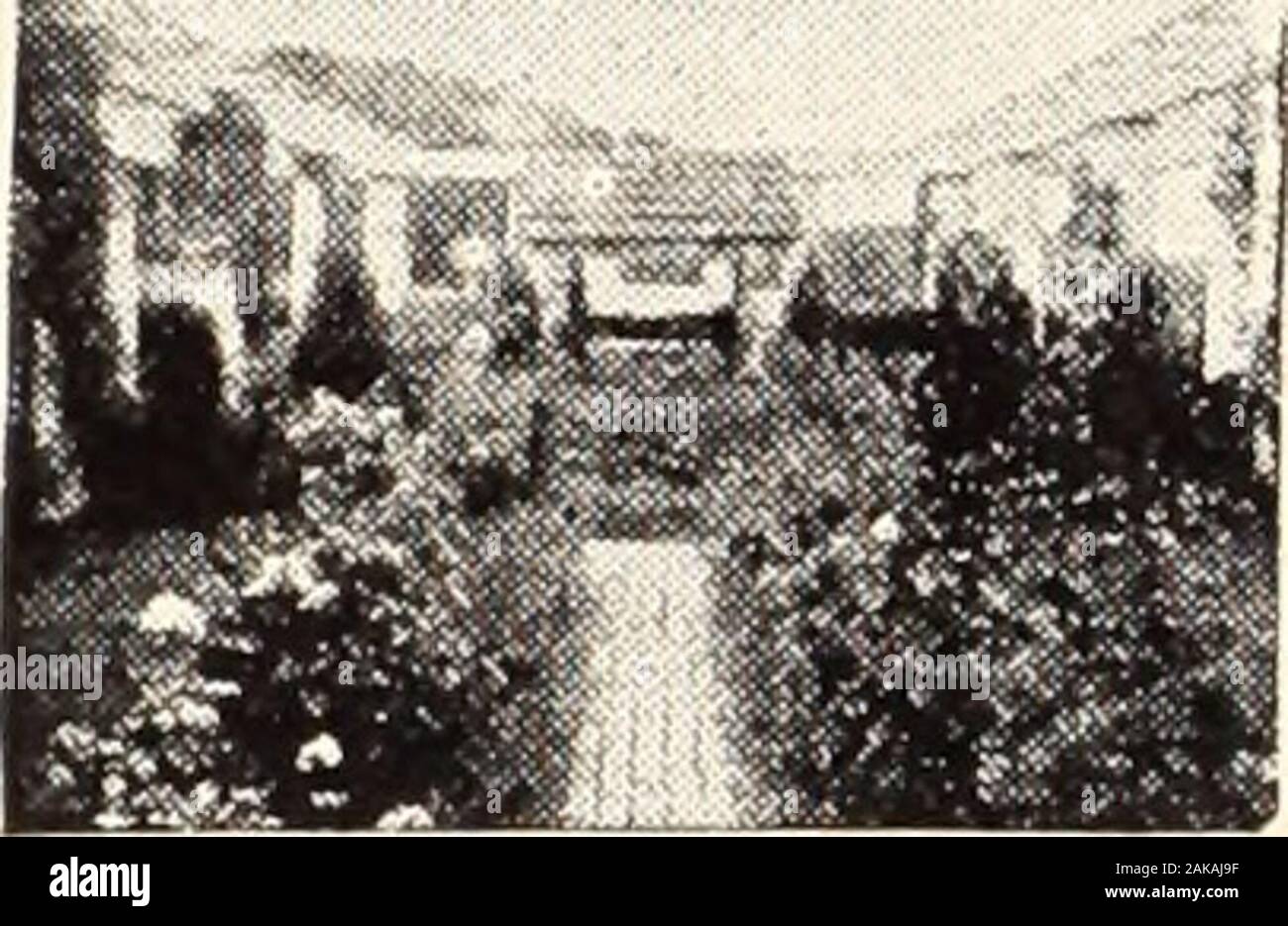 Jill ritchie hi-res stock photography and images - Alamy