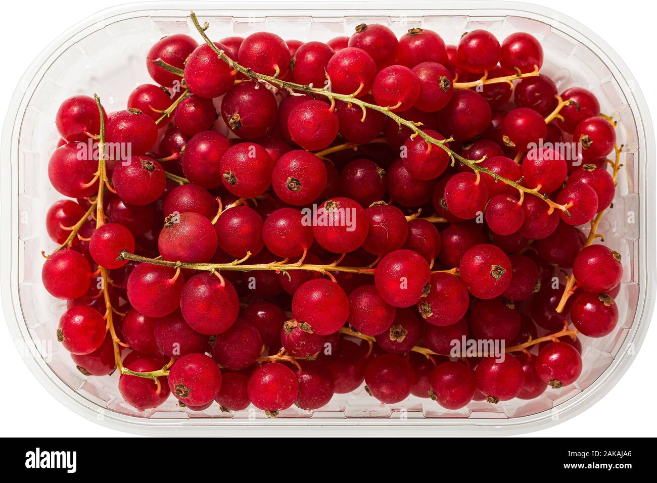 Blackberries in plastic container hi-res stock photography and images ...