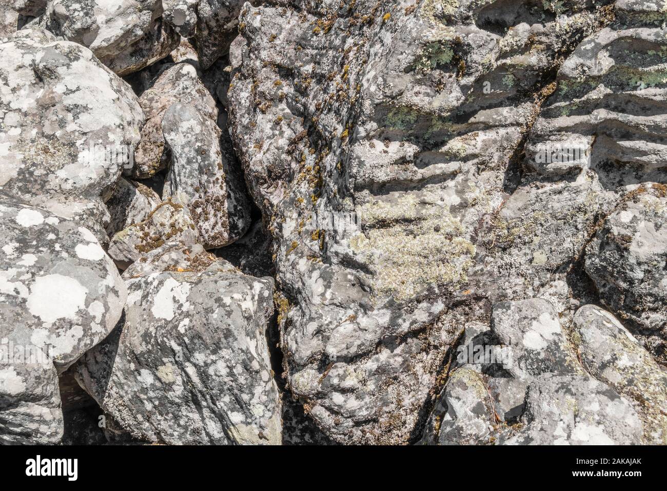 Table Mountain Detail High Resolution Stock Photography and Images - Alamy