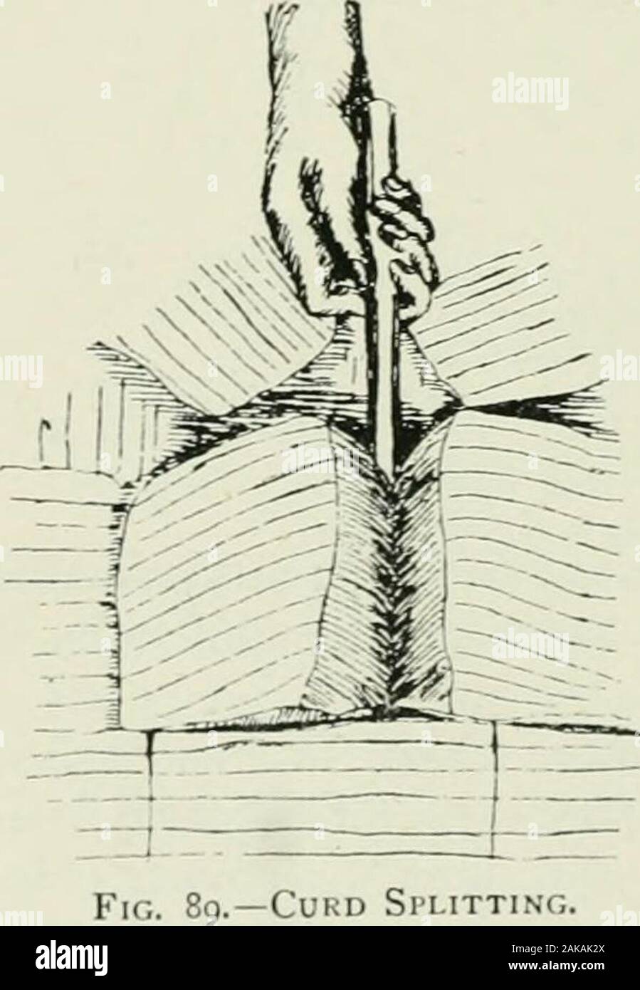 Milk, cheese and butter, a practical handbook on their properties and ...