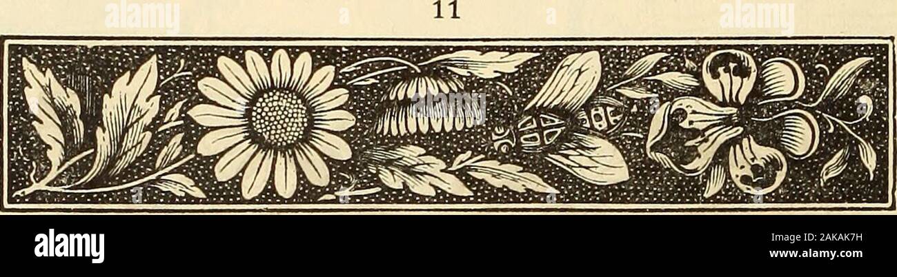 Francis hart hi-res stock photography and images - Alamy