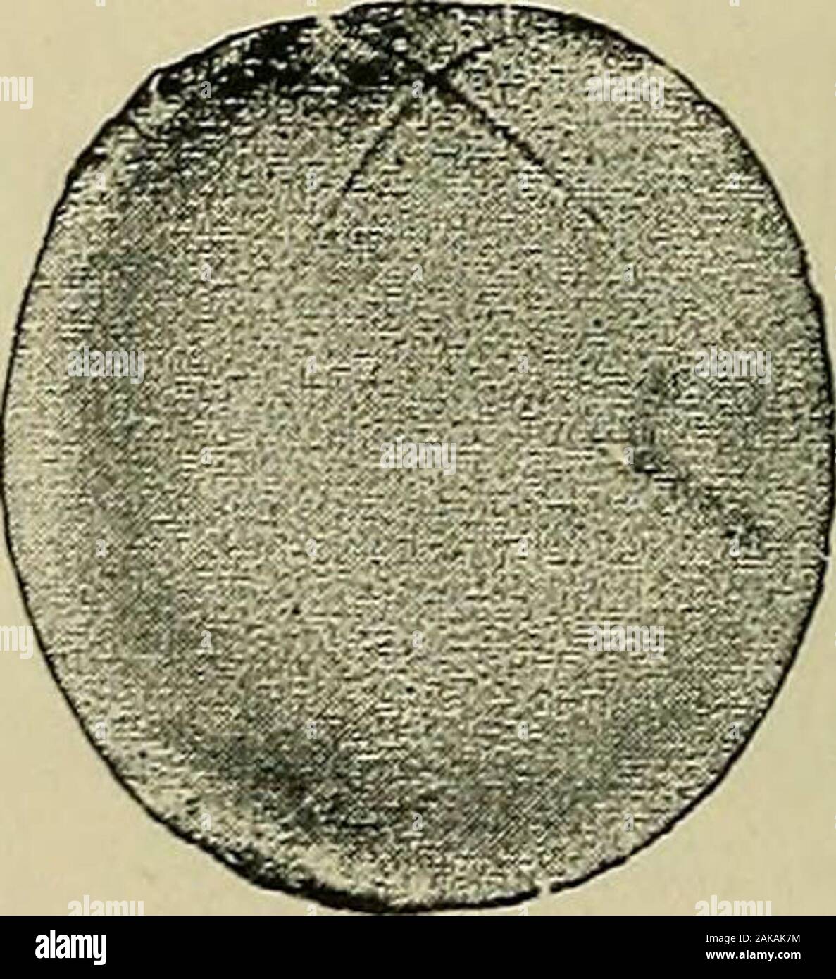 General physiology; an outline of the science of life . A B Fig. 76 ...