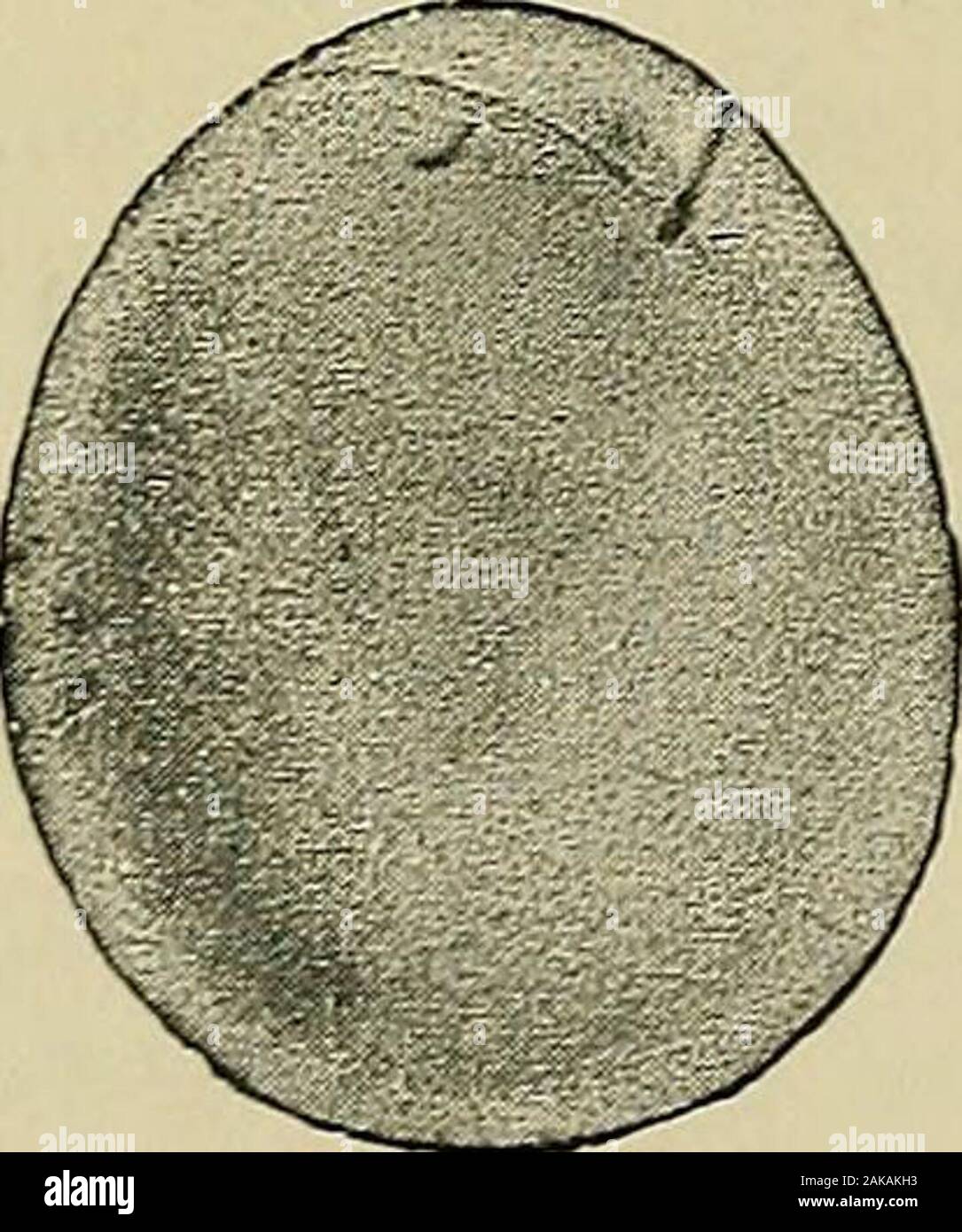 General physiology; an outline of the science of life . Fig. 75 ...