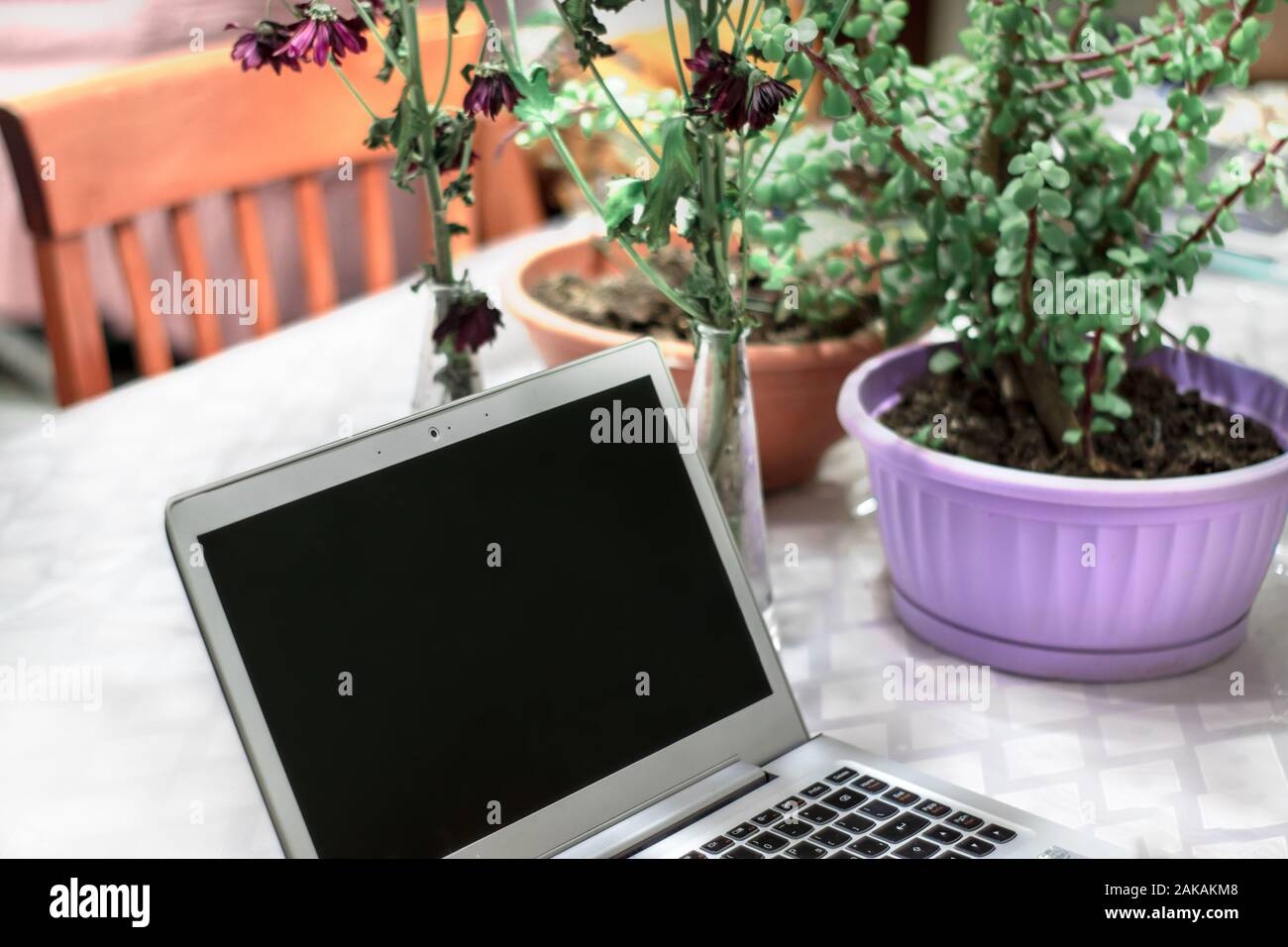 Opened laptop computer on the desk and natural design office interior ...