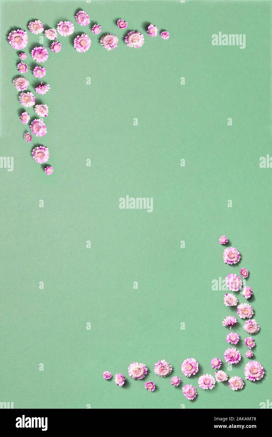 Romantic flowers corner frame for congratulation Stock Photo - Alamy