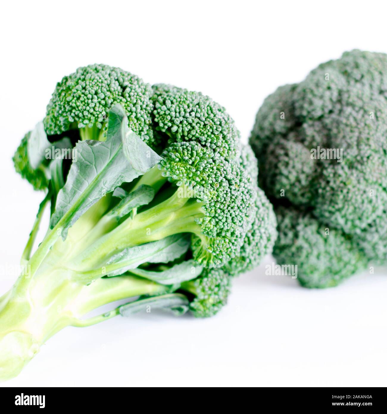 Vibrant green broccoli head close hi-res stock photography and images ...