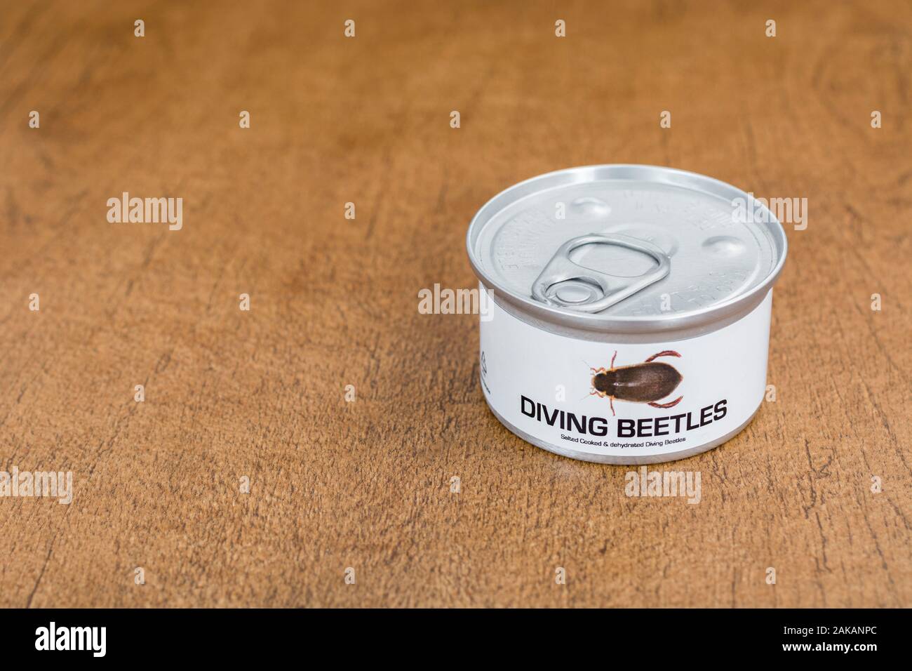 Tin of edible insects / novelty food - Diving Beetles / Dytiscus ...