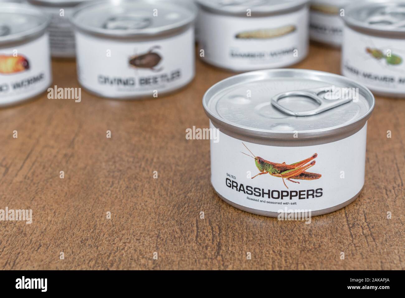 Tin of edible insects / novelty food - Grasshoppers / Acrididae species ...