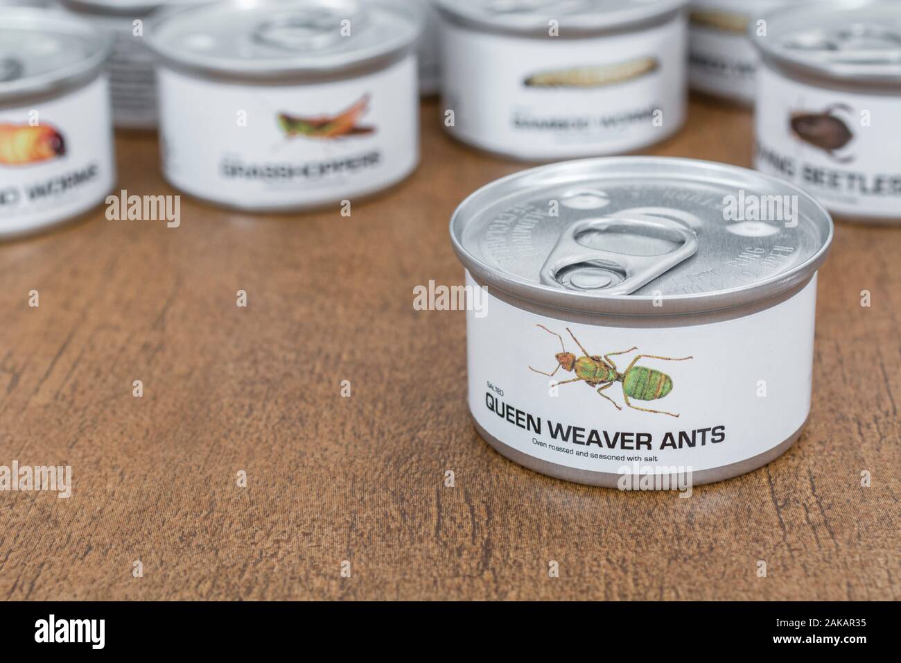Tin of edible insects / novelty food - Weaver Ants / Oecophylla ...