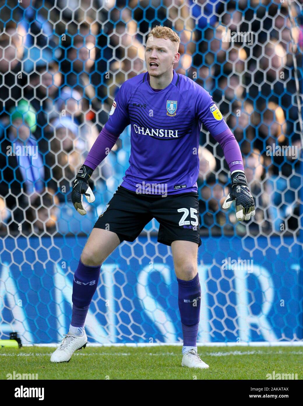 Sheffield Wednesday goalkeeper Cameron Dawson Stock Photo - Alamy