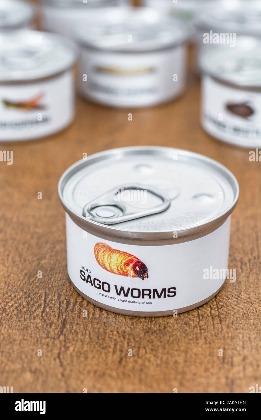 Types of edible worms hi-res stock photography and images - Alamy