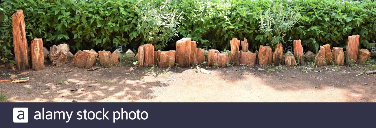 Sedimentary Fossil Stock Photos & Sedimentary Fossil Stock Images - Alamy