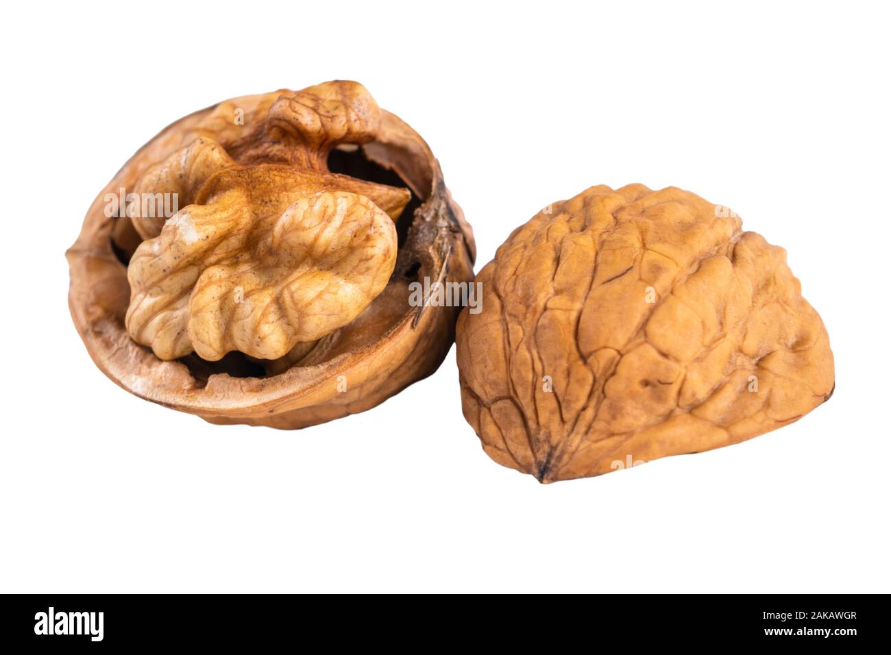 Walnut on the white background. Close up shot of whole walnut isolated ...