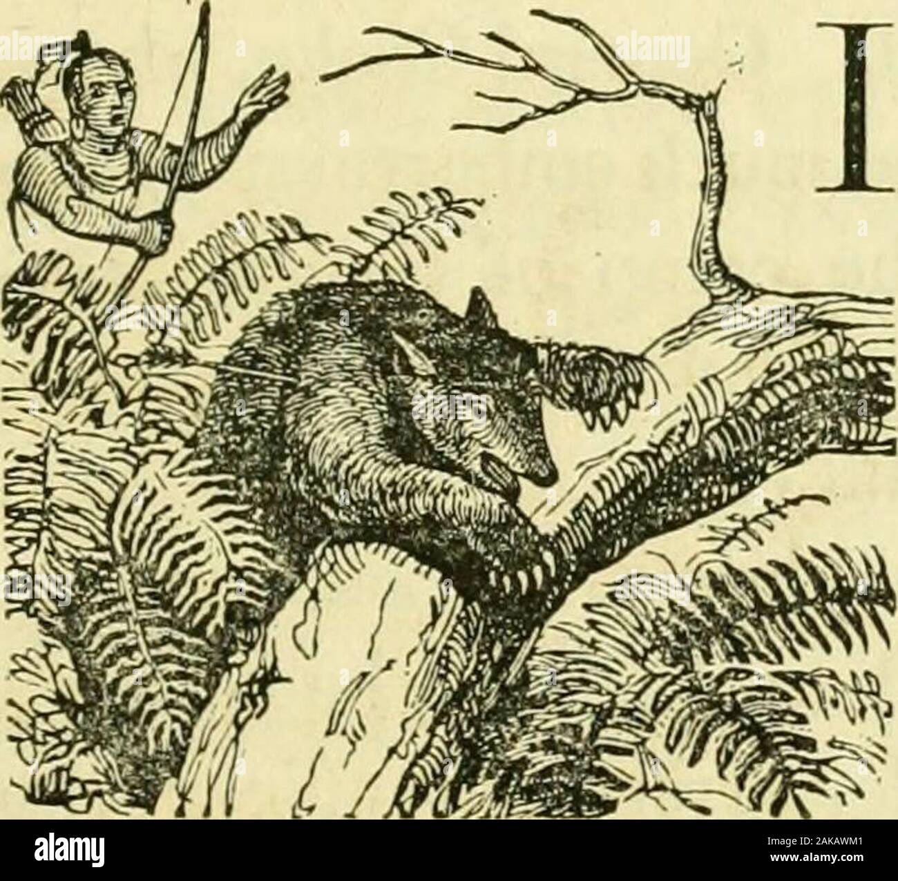 Brigadier andrew jackson hi-res stock photography and images - Alamy