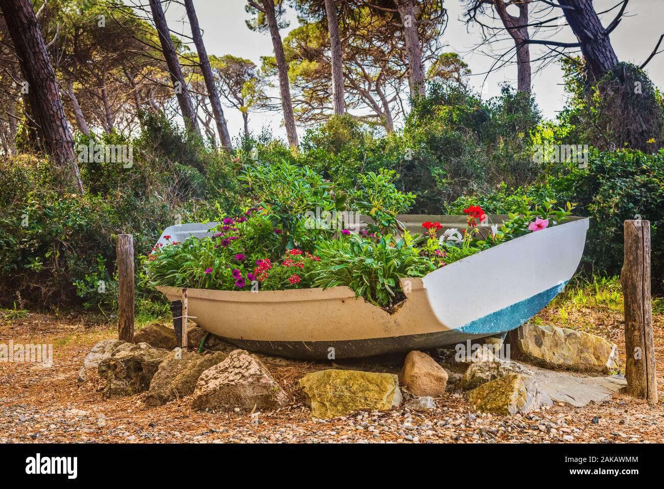 Boat with flowers in the forest Stock Photo - Alamy