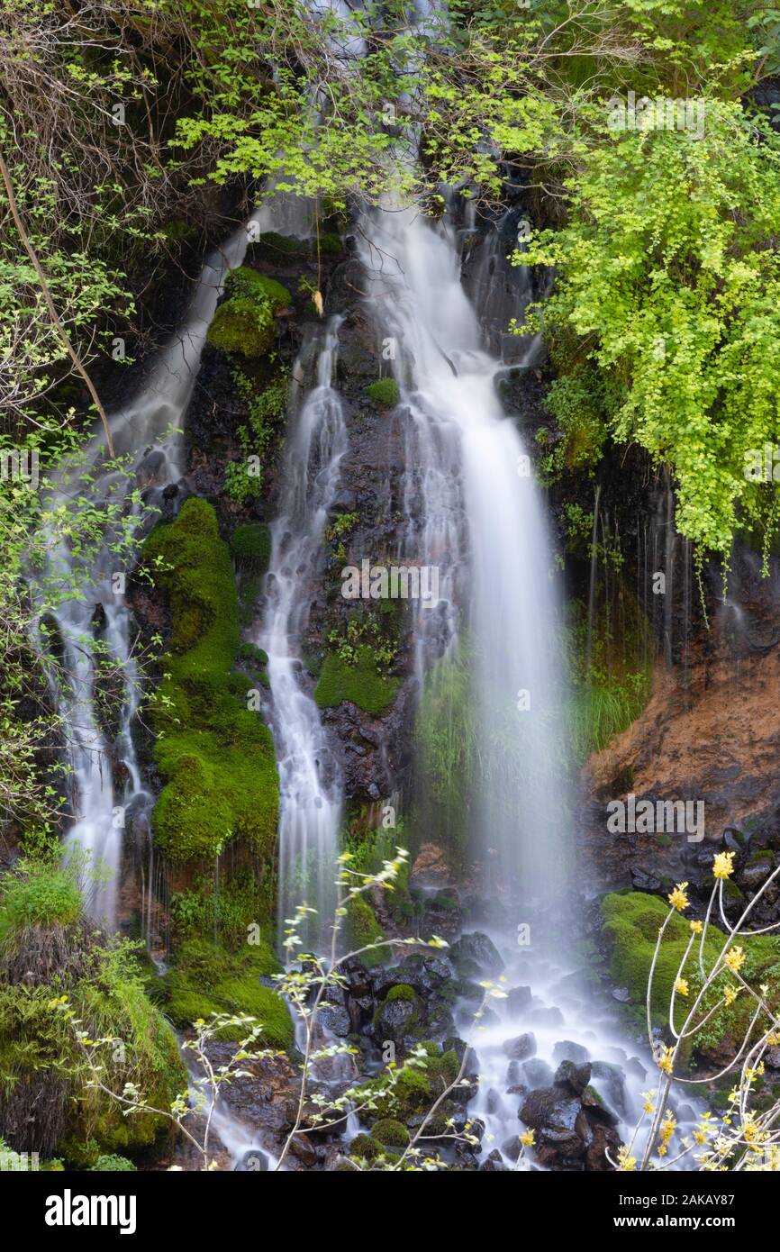 View of waterfall, McArthur-Burney Falls Memorial State Park, Burney ...
