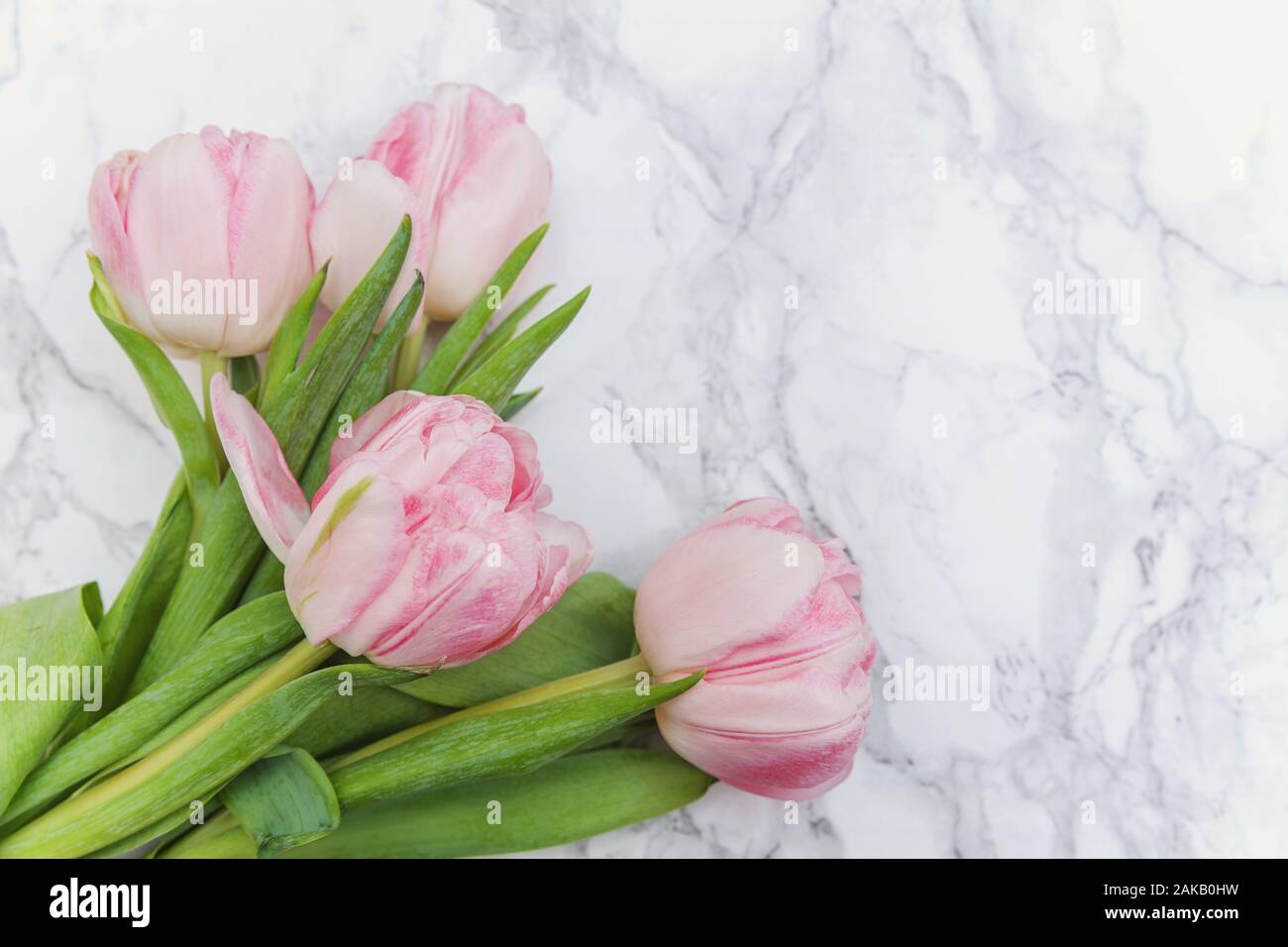 Spring greeting card. Bouquet of fresh light pastel pink tulips flowers ...