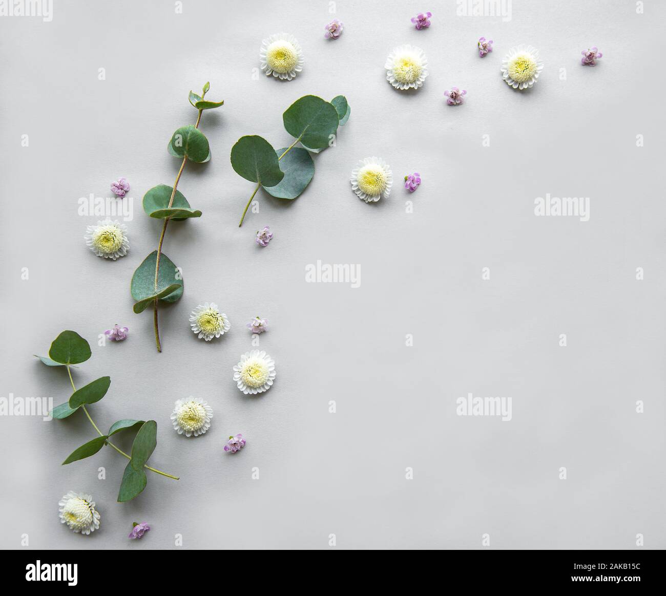 Flowers composition. Frame made of various colorful flowers on white ...