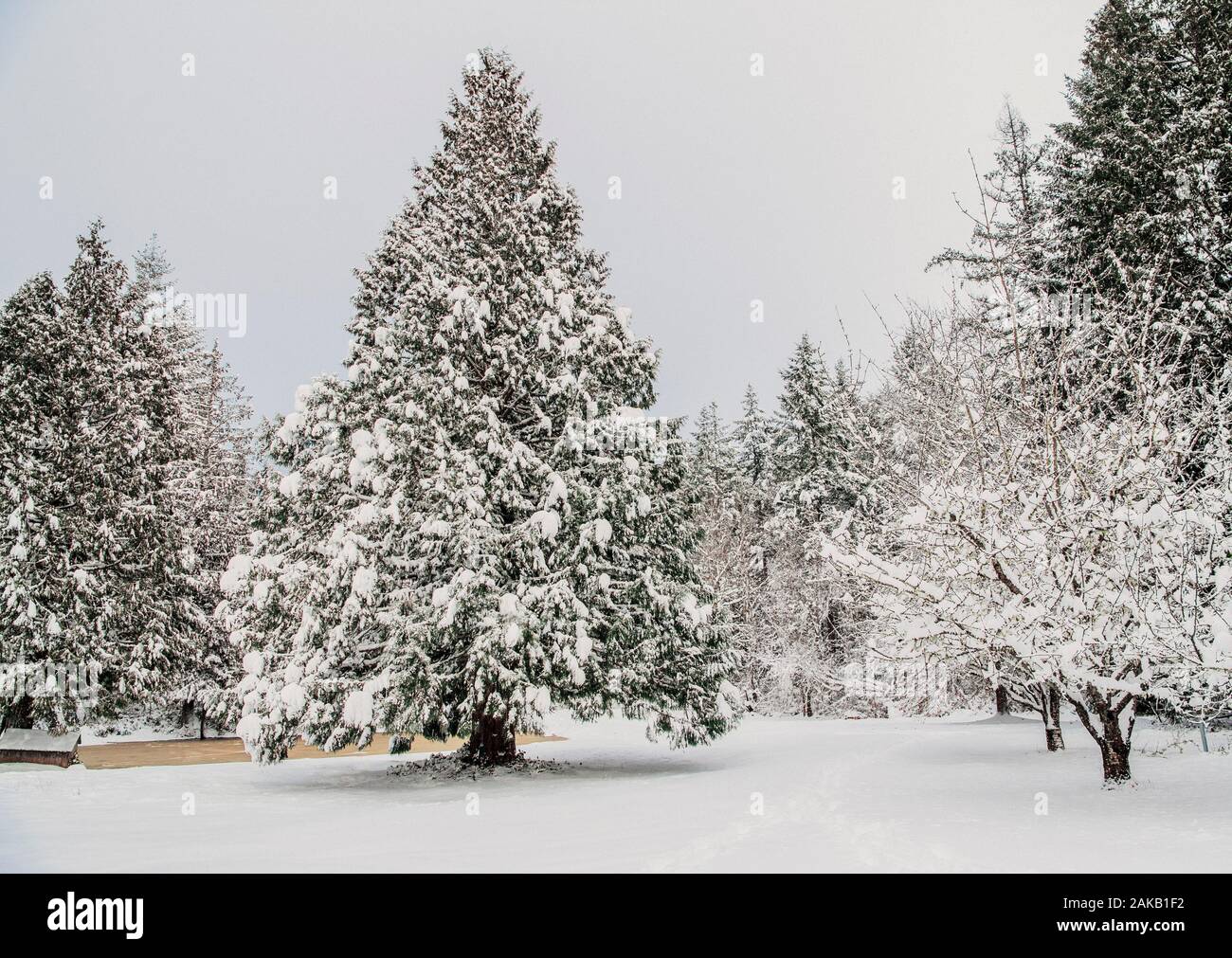 Bainbridge island landscape hi-res stock photography and images - Alamy