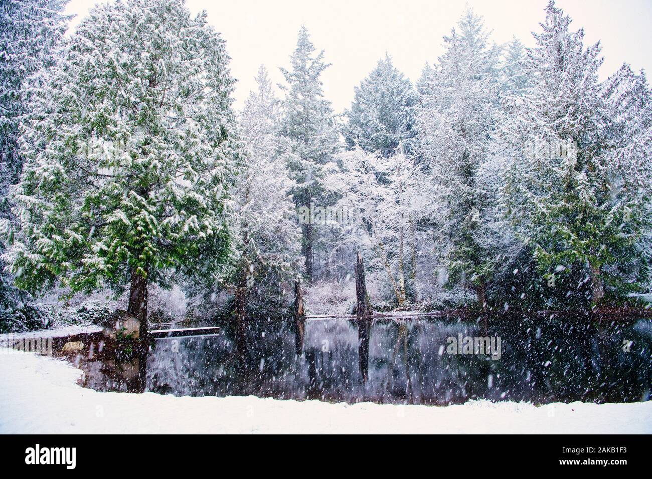 Bainbridge island landscape hi-res stock photography and images - Alamy