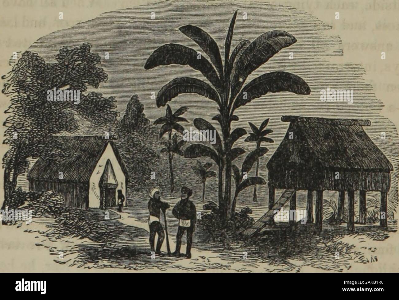 Split cane rods hi-res stock photography and images - Alamy