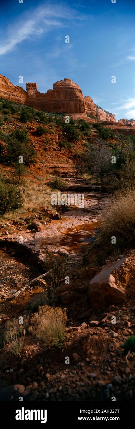 Landscape with plants and rock formations in desert, Sedona, Arizona ...