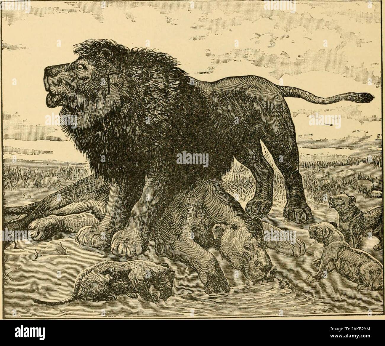 Ten wise men hi-res stock photography and images - Alamy