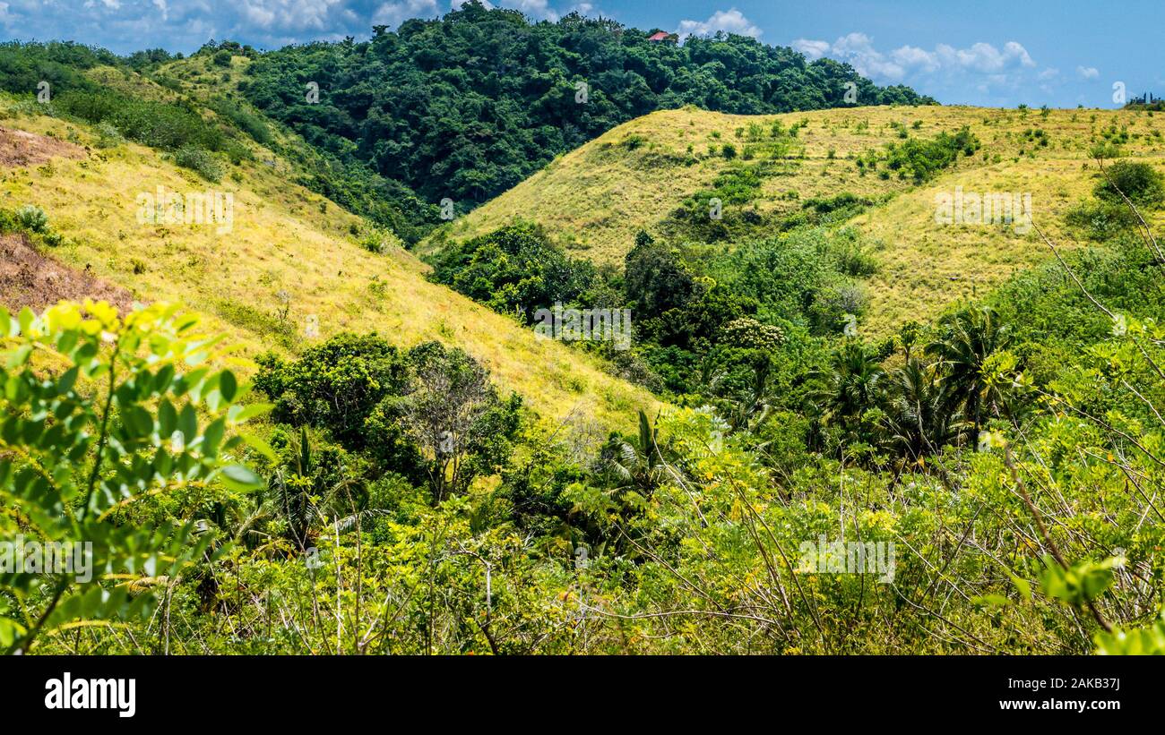 Teletubbies Hill, Nusa Penida Island, Bali, Indonesia Stock Photo - Alamy
