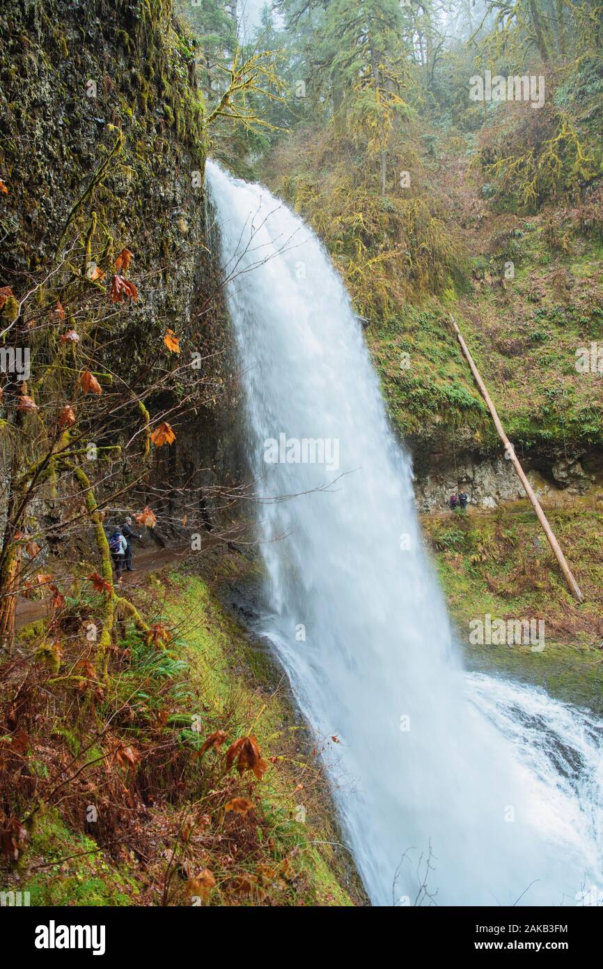 View of waterfall, Oregon, USA Stock Photo - Alamy