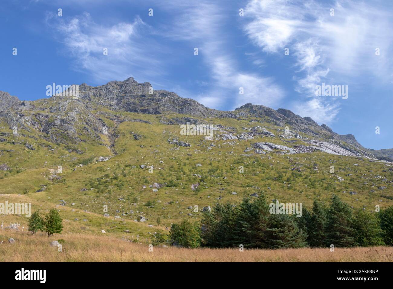 Tonsasheia hi-res stock photography and images - Alamy
