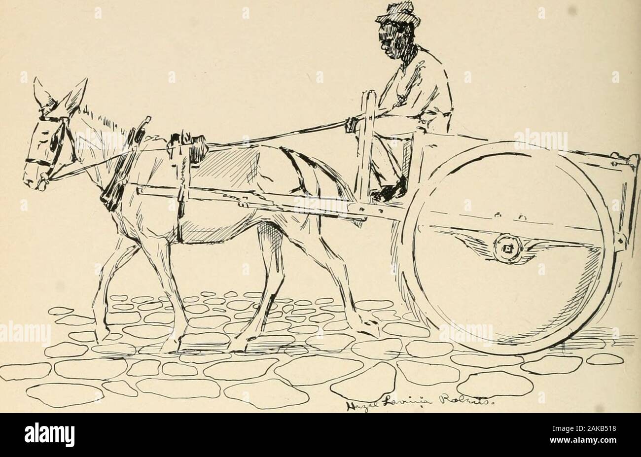 Rackety hi-res stock photography and images - Alamy