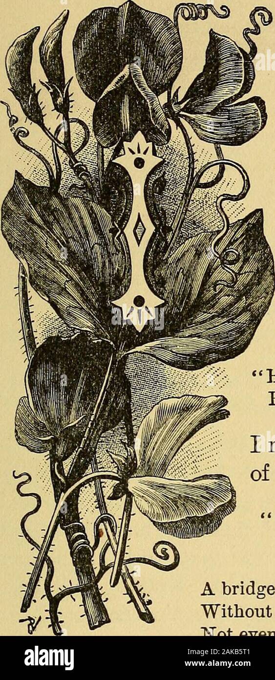 The Birds Aristophanes