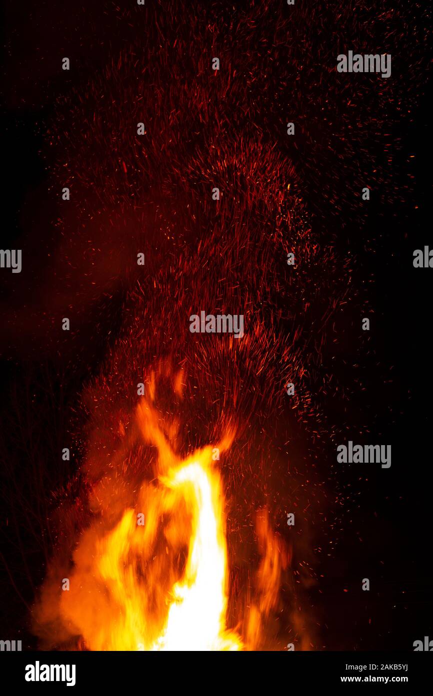 burning evergreen trees produce tall yellow and orange flames, and ...