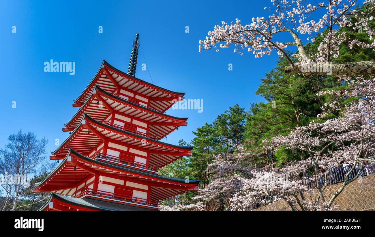 Cherry blossom temple red roof hi-res stock photography and images - Alamy