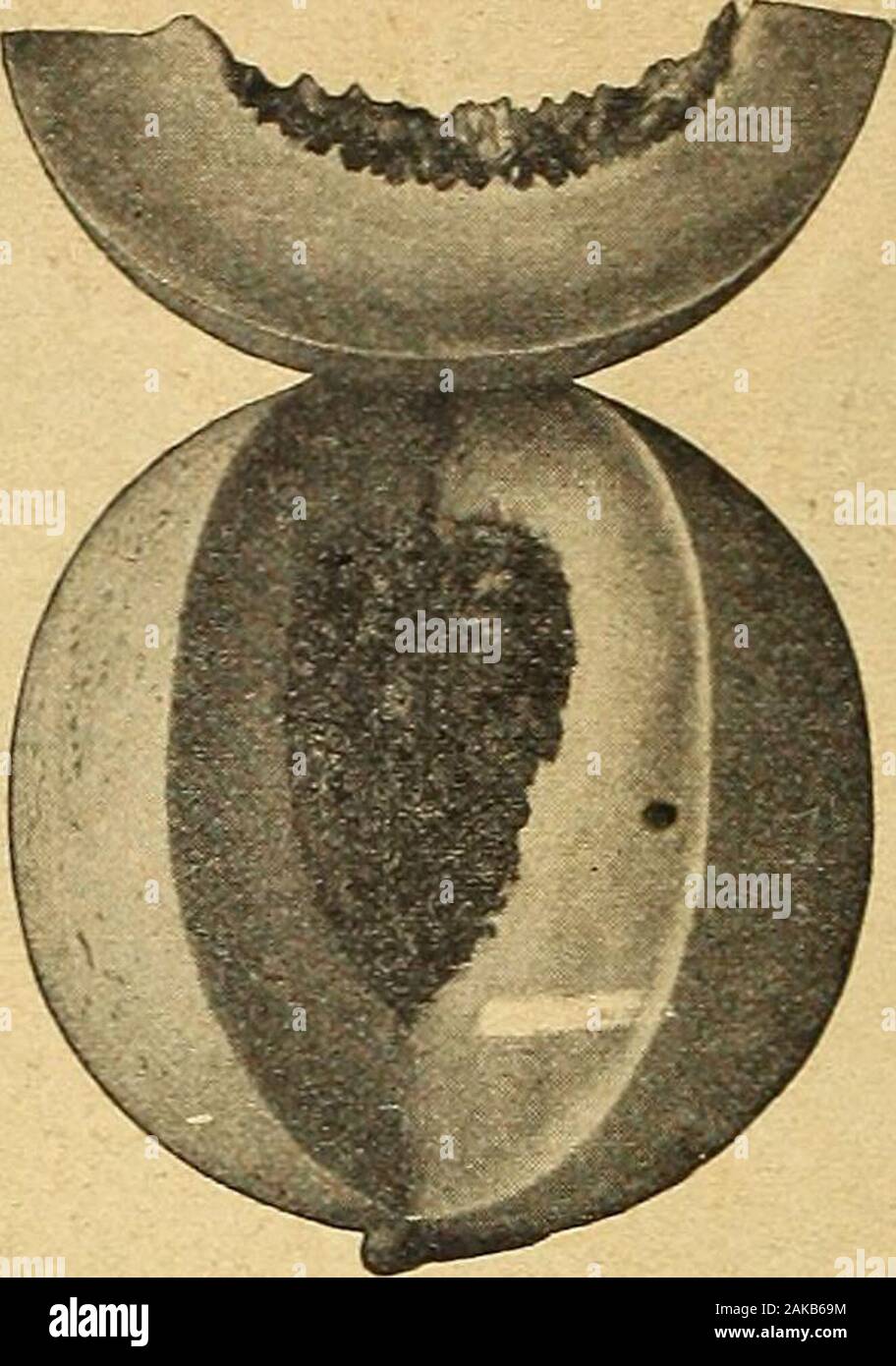 Seed warts skin hi-res stock photography and images - Alamy