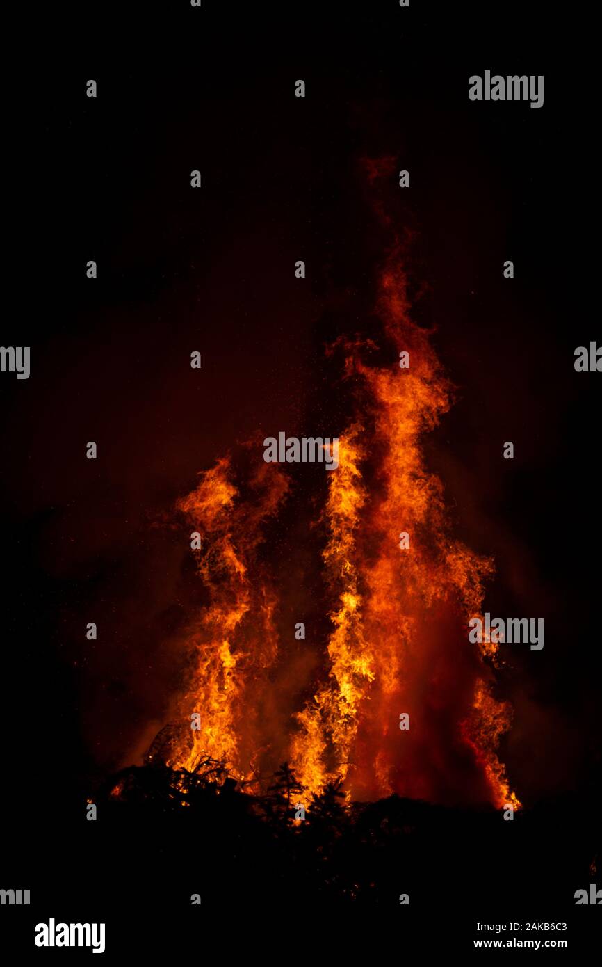 burning evergreen trees produce tall yellow and orange flames, and ...