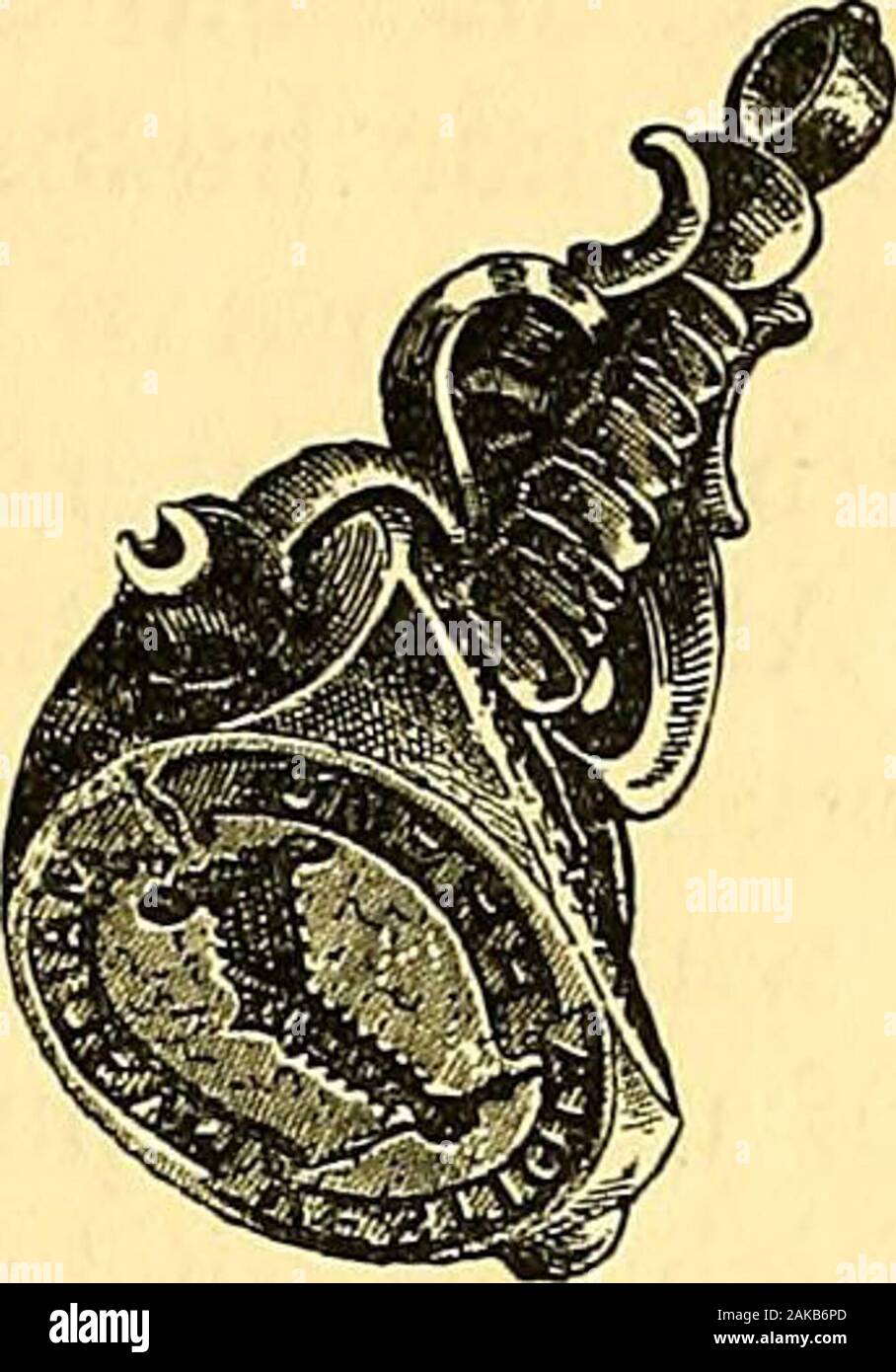 A history of the family of Seton during eight centuries[With plates ...