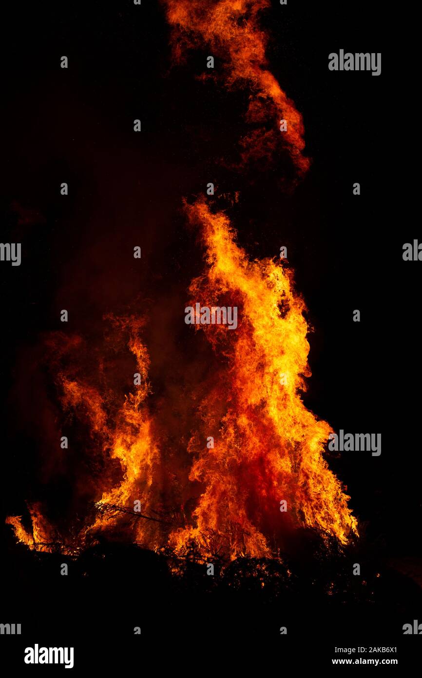 burning evergreen trees produce tall yellow and orange flames, and ...