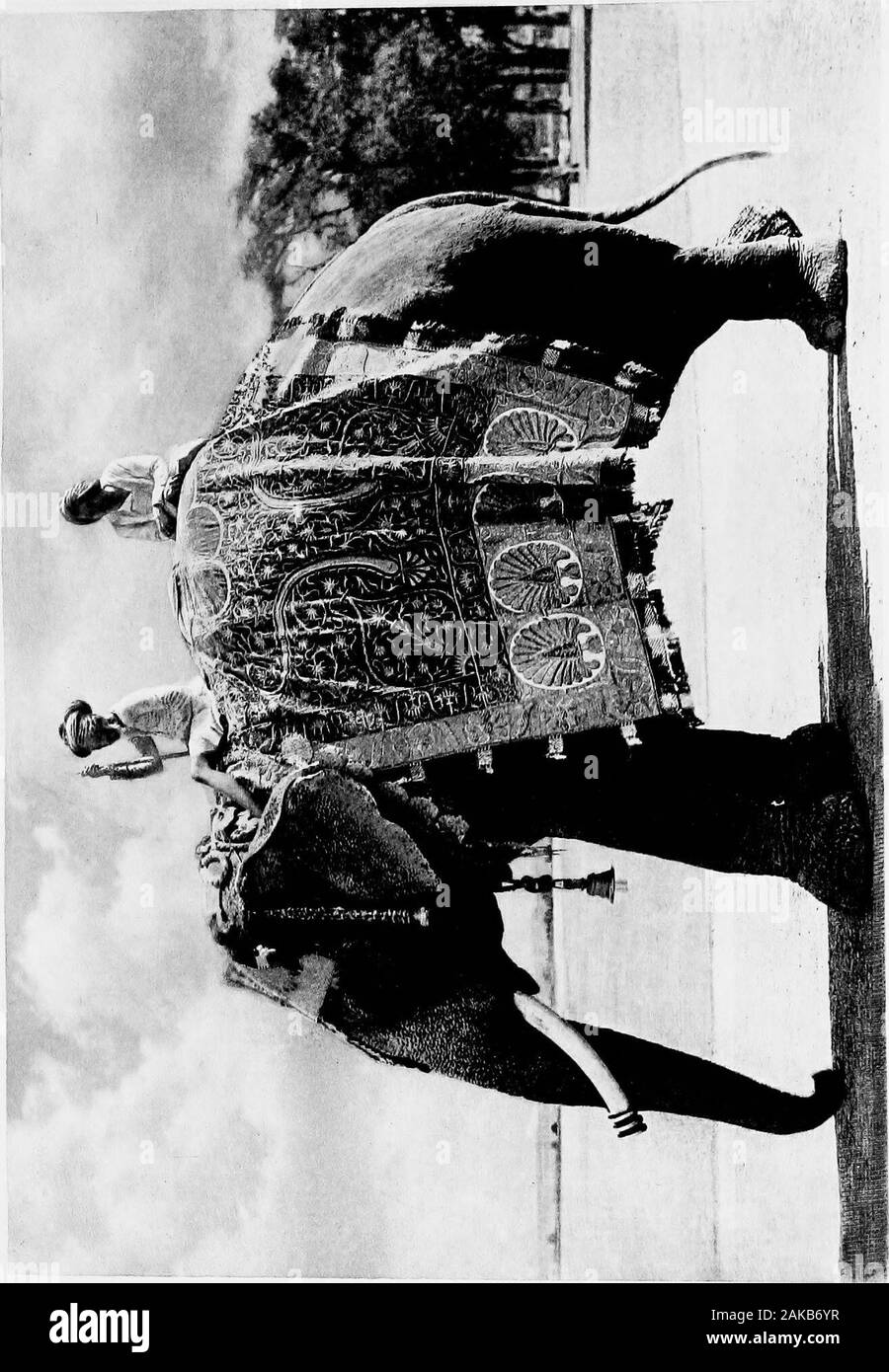 Ms ambition Black and White Stock Photos & Images - Alamy