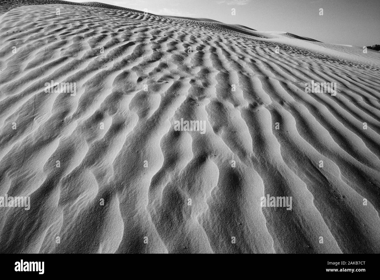 Black and white landscape with sandy desert, Great Sand Hills ...