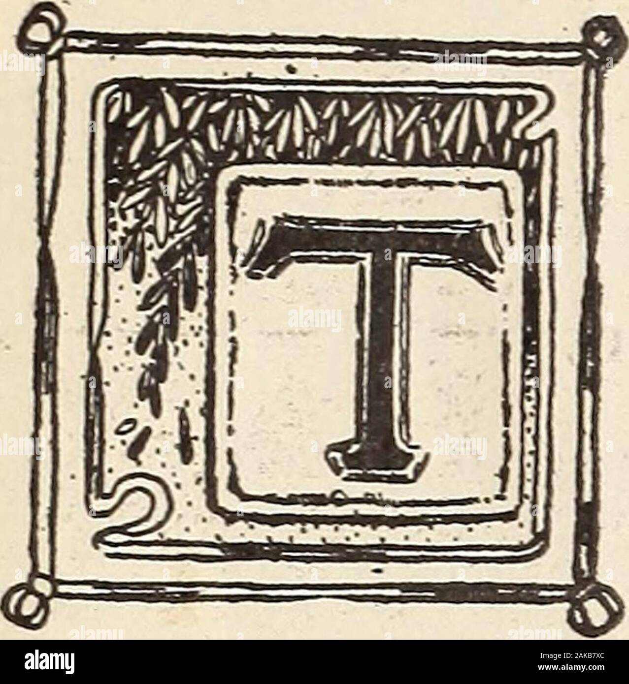 Skunk wolf hi-res stock photography and images - Alamy