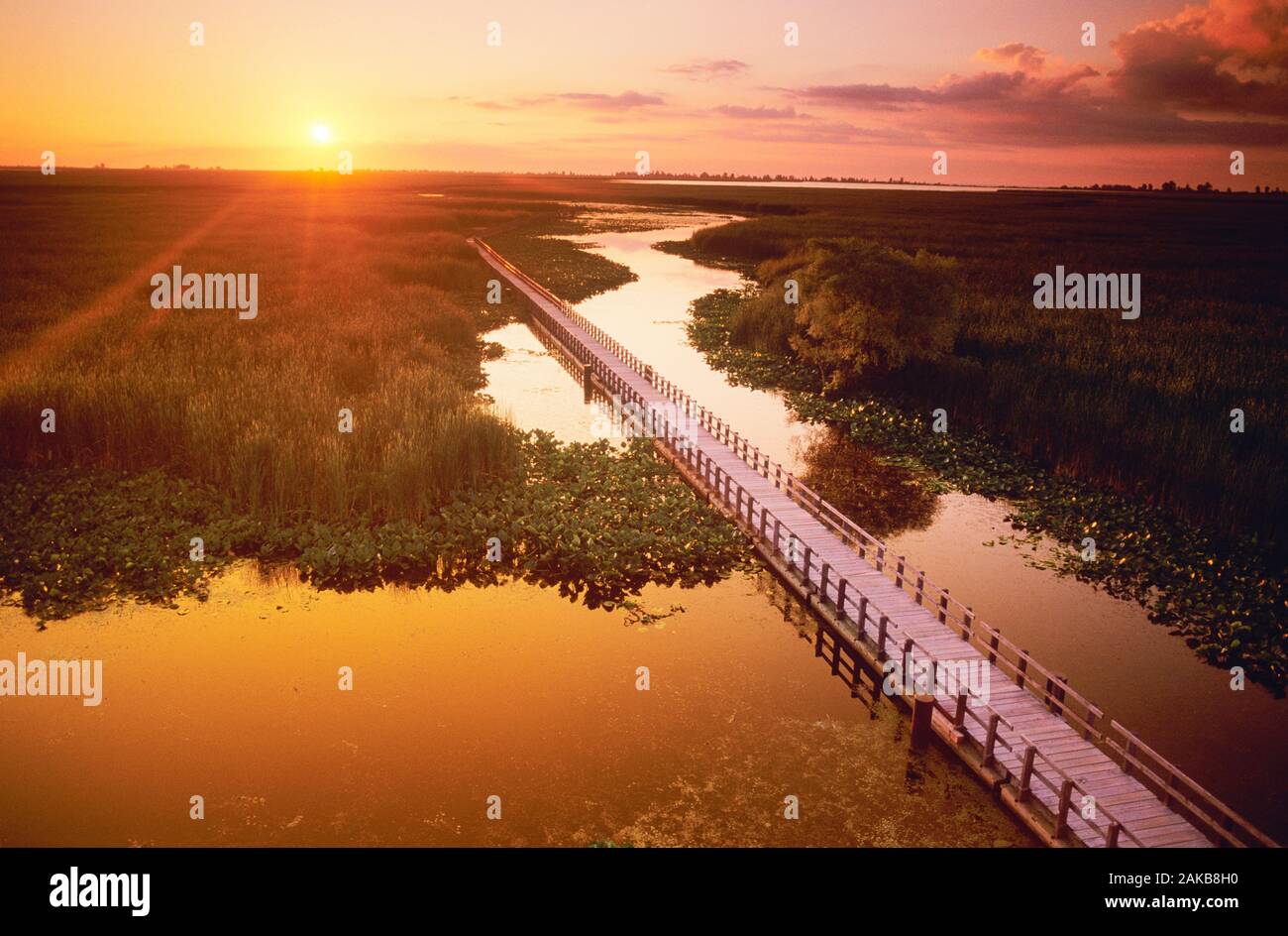Aerial view of landscape with boardwalk in marsh at sunset, Point Pelee ...