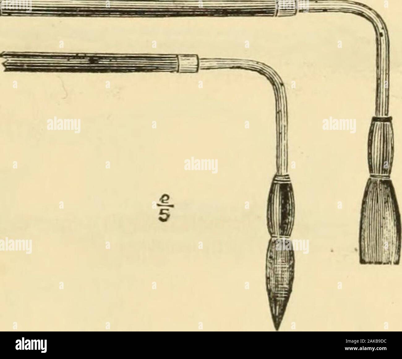 A manual of diseases of the throat and nose : including the pharynx ...