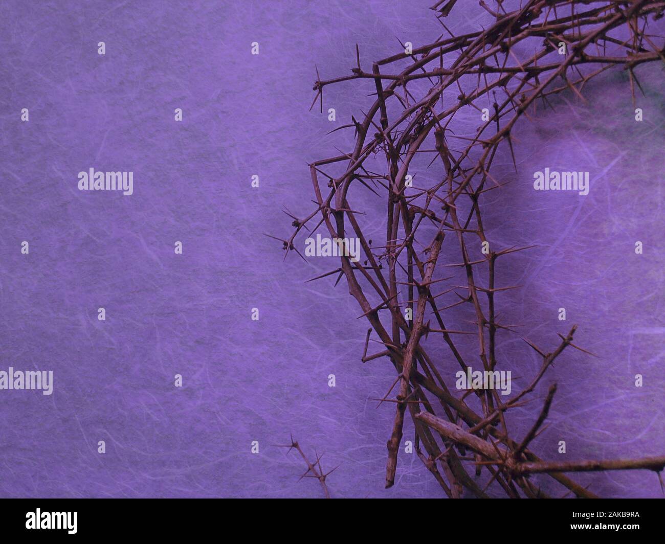 crown of thorns on purple background with negative space to the left ...
