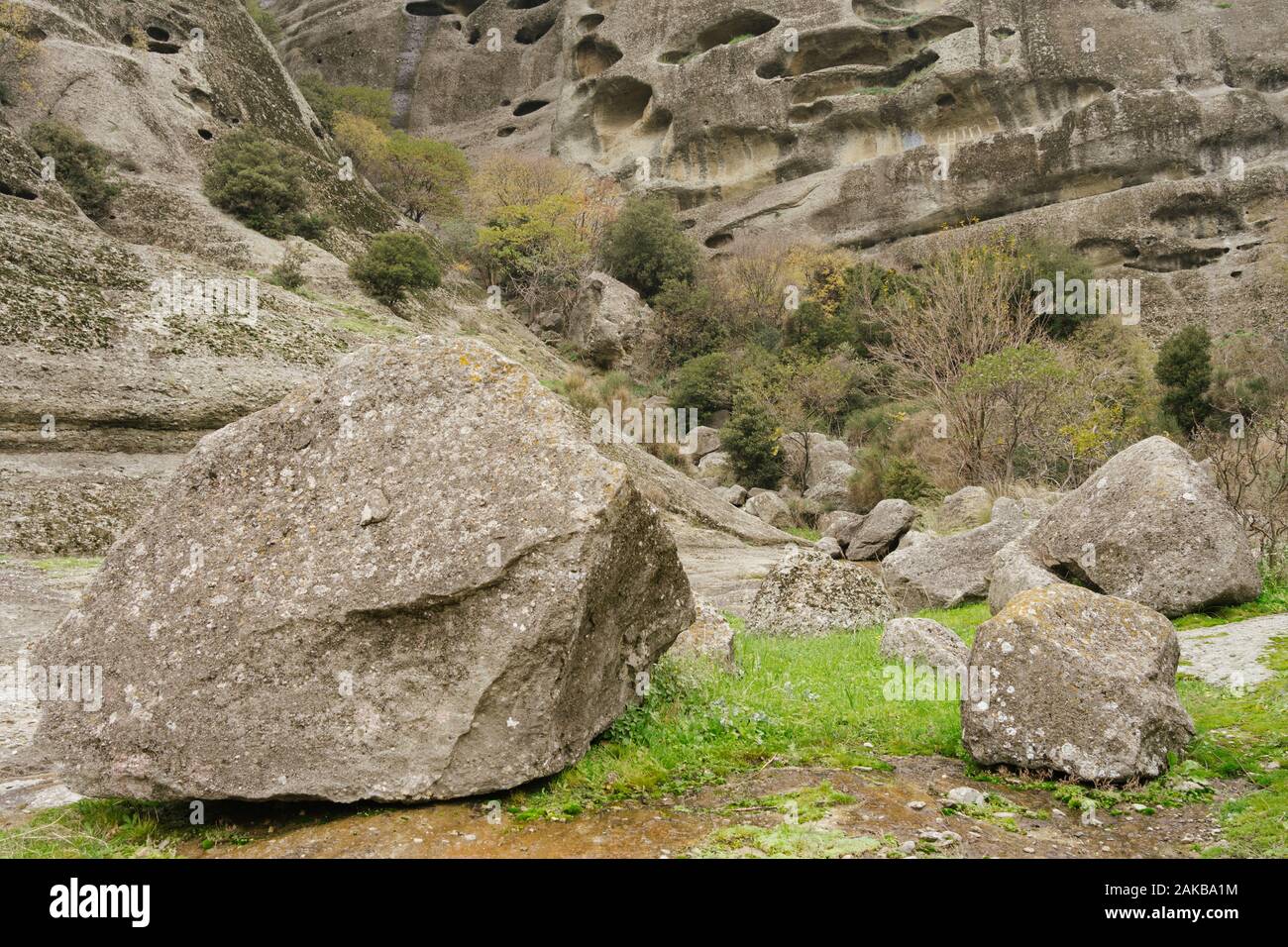 Monk cells hi hi-res stock photography and images - Alamy