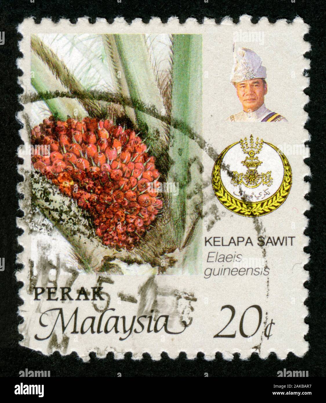 Kelapa sawit hi-res stock photography and images - Alamy