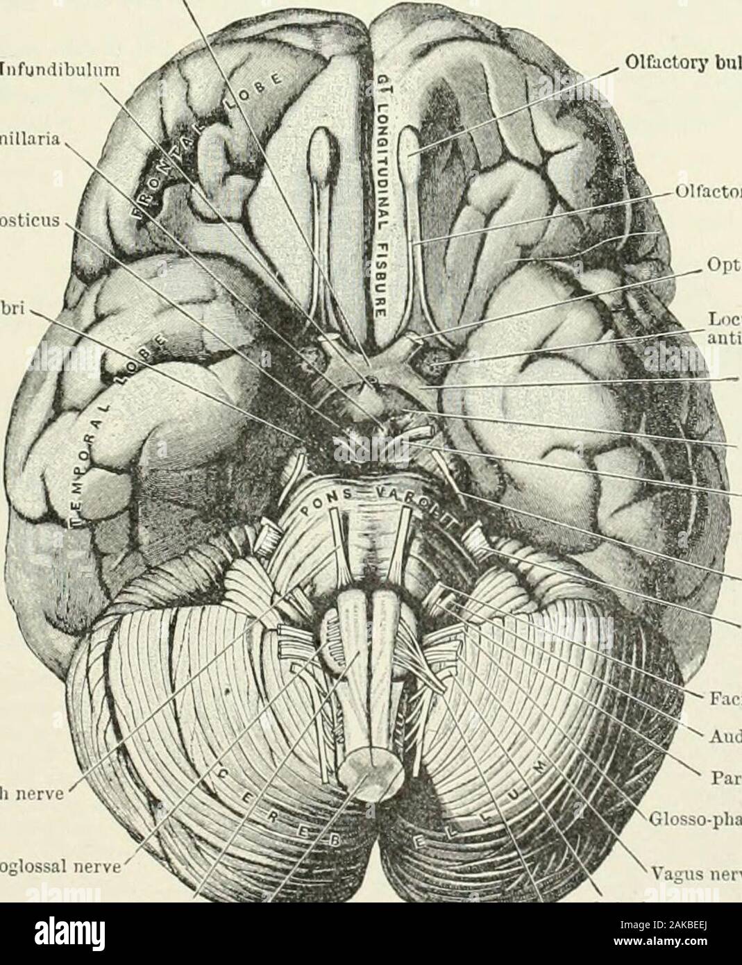 Dcii hi-res stock photography and images - Alamy