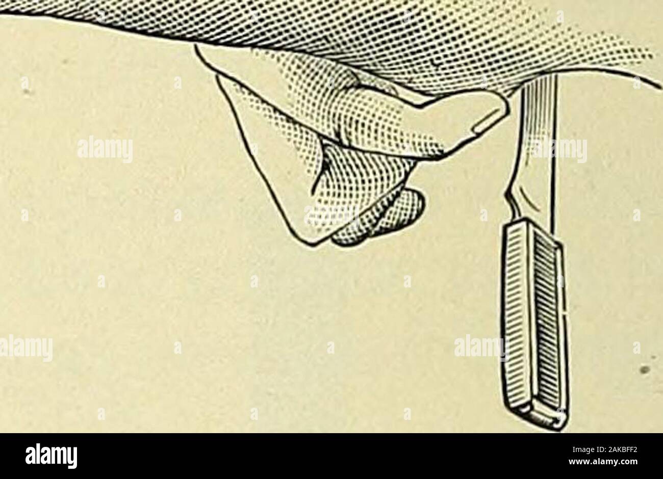 Osteum hi-res stock photography and images - Alamy